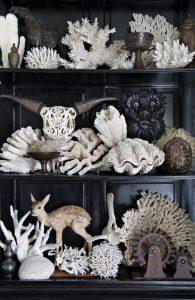 L'art de collectionner les objets - Frenchyfancy